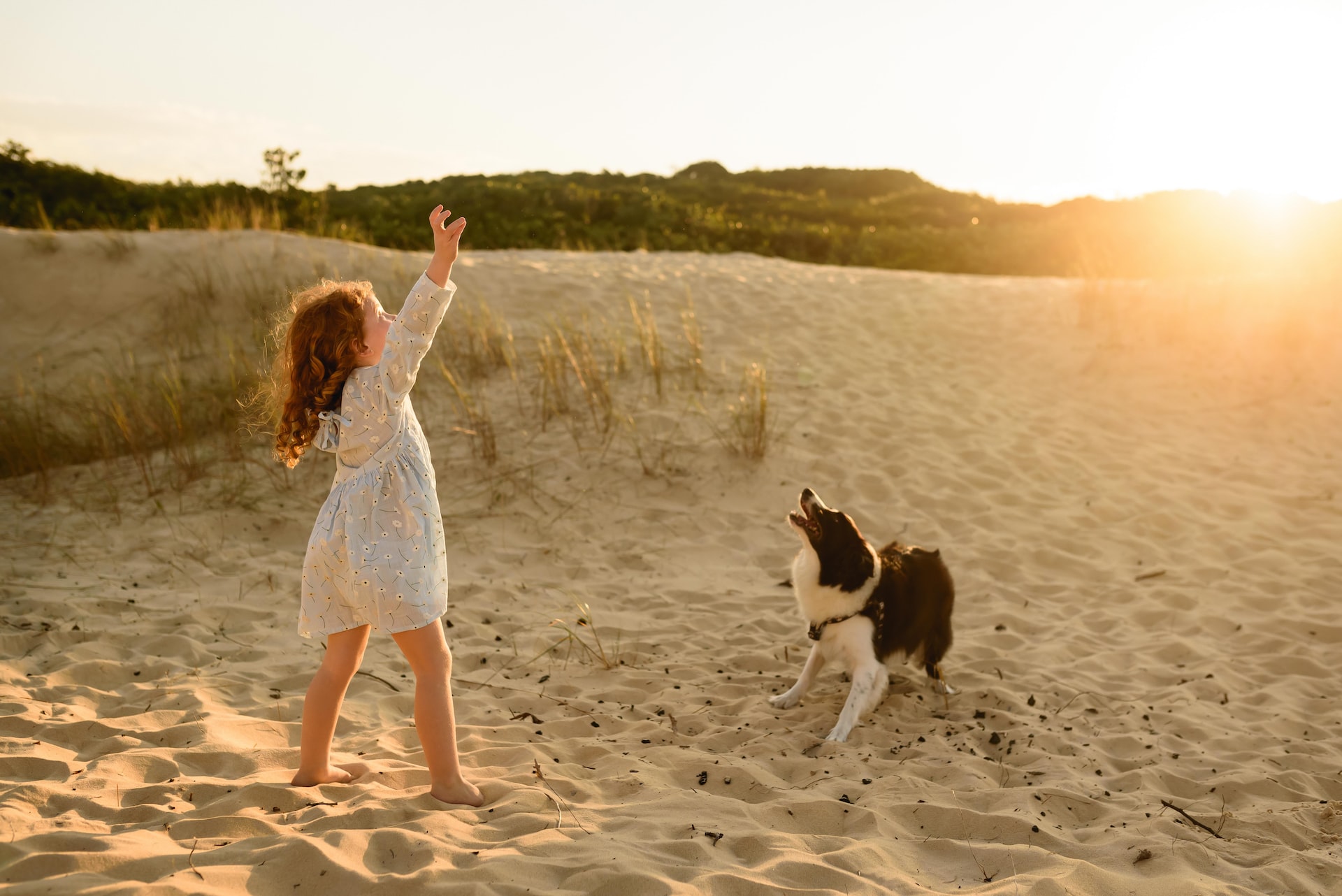 How The Love For Our Dogs Can Rewire Our Brains For Happiness